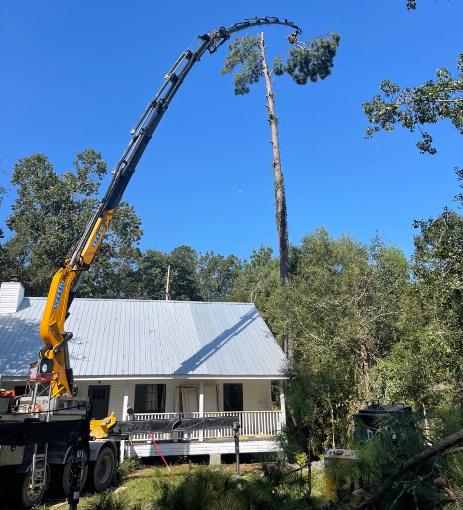 2019 Effer 655 Grapplesaw Truck - GrapplesawTrucks.com