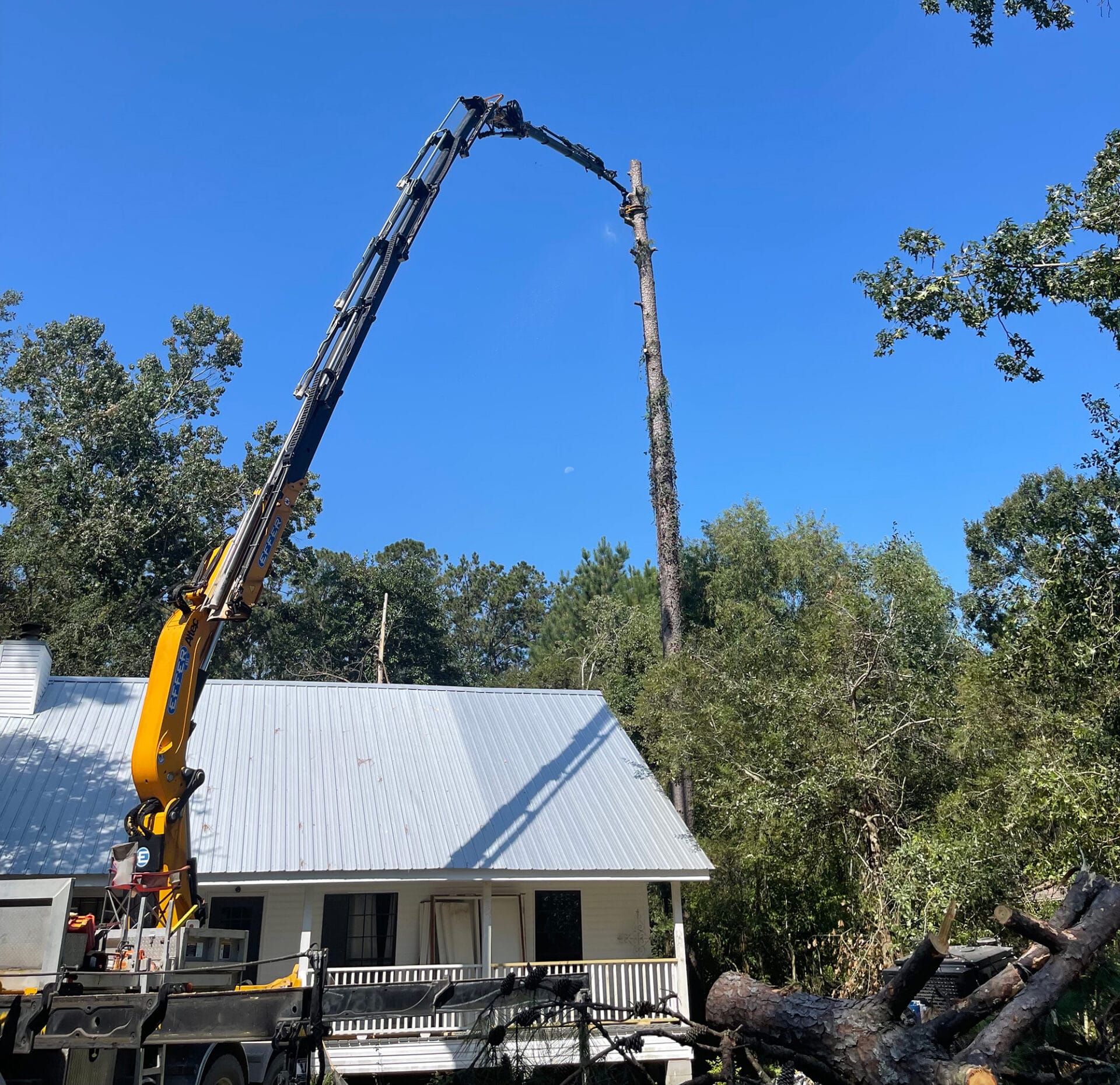 2019 Effer 655 Grapplesaw Truck - GrapplesawTrucks.com