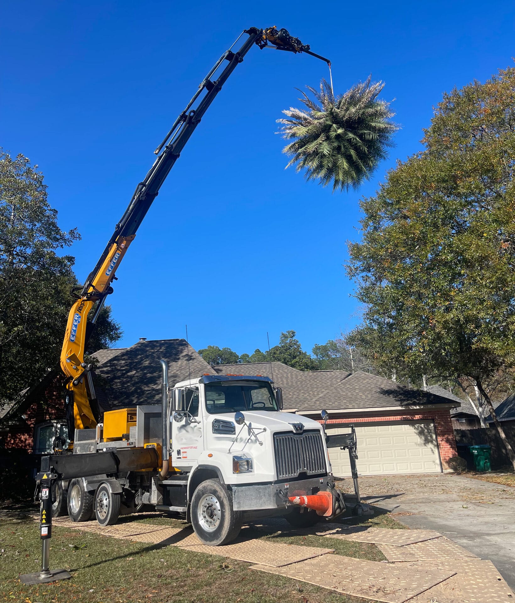 2019 Effer 655 Grapplesaw Truck - GrapplesawTrucks.com
